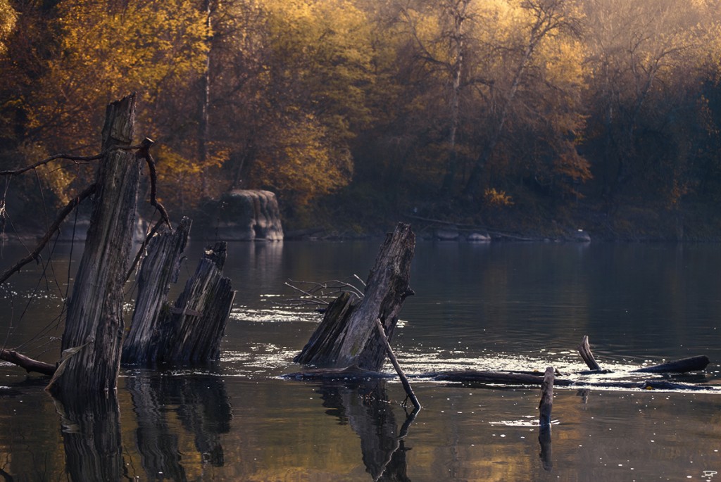 Fotografija dana: Južna Morava - Pokazivač