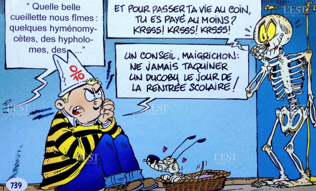 Čudesni... ehm, 'Učenik Dikobi' (2.) - Pokazivač