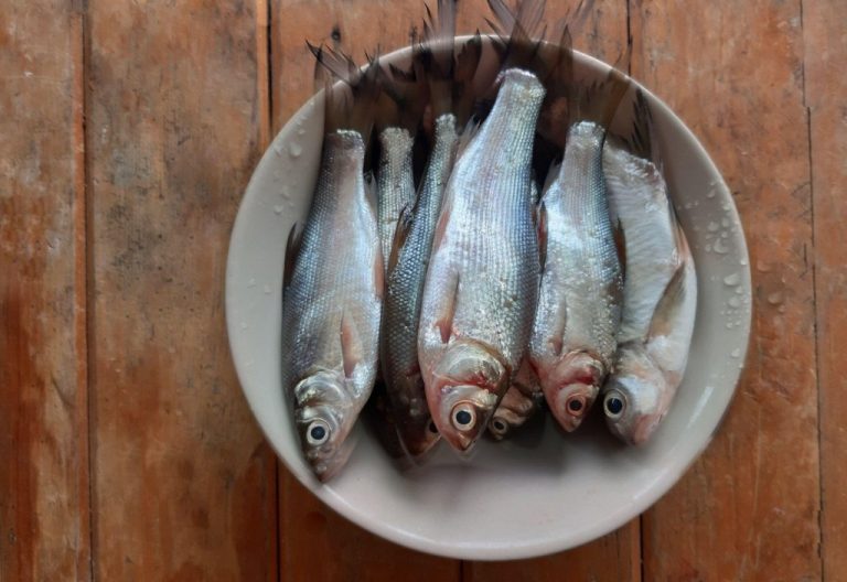 Najzdravije vrste ribe i one koje treba izbegavati - Pokazivač